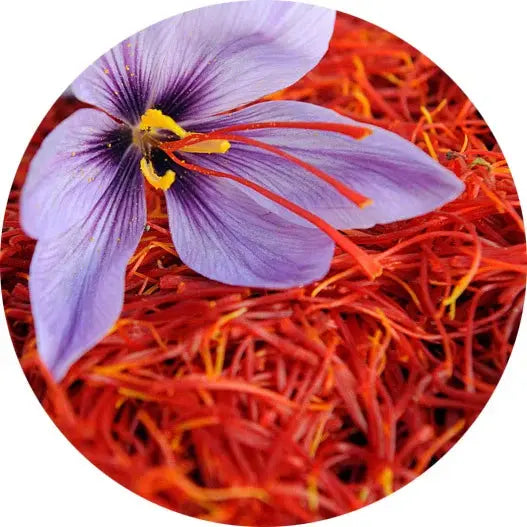 Perfumes con nota de azafrán en Costa Rica – Aromática CR