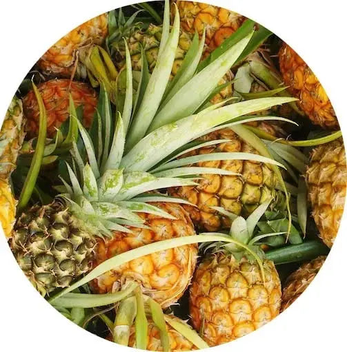 Perfumes con nota de piña en Costa Rica – Aromática CR